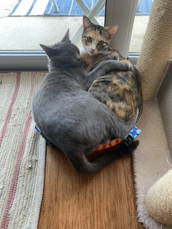 10 Best Virtual Team Building Activities for Remote Teams